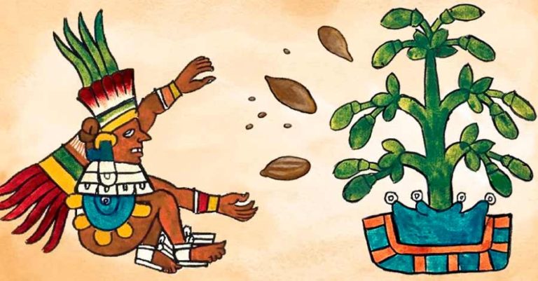 Peruvian Chocolate: The Ultimate Cacao guide🍫 - Auri Travel